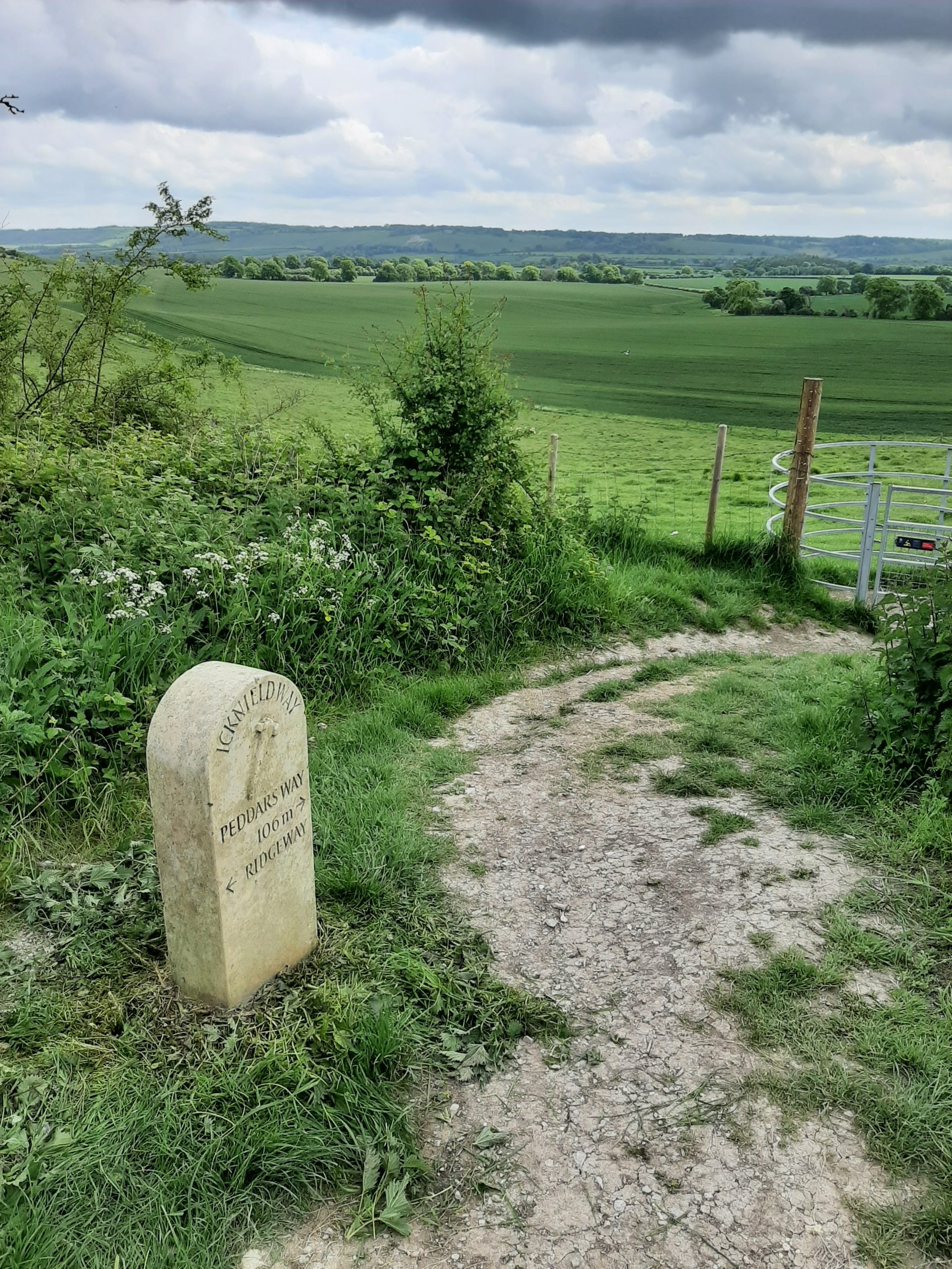 Clean the stones – Icknield Way Path